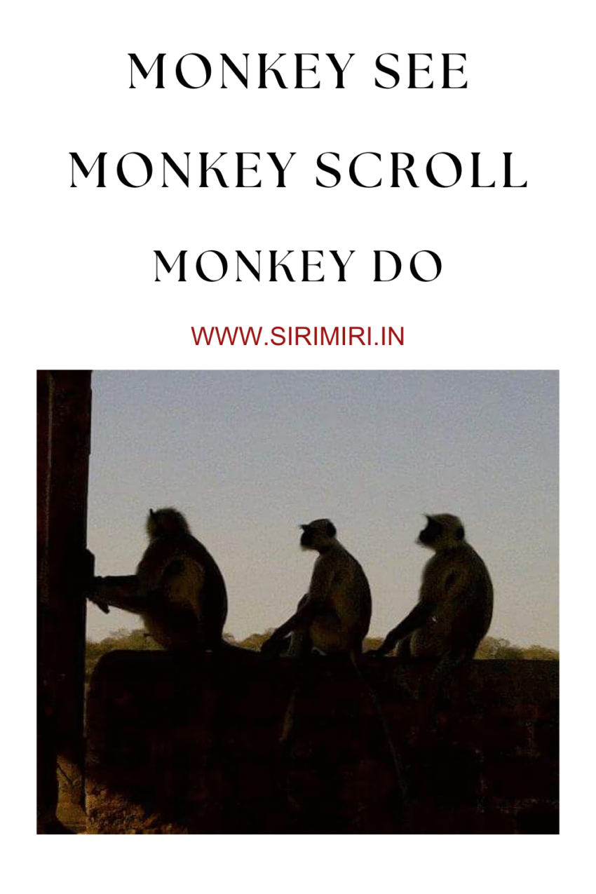 Monkey see. Monkey scroll. Monkey Do. - Sirimiri Monkey